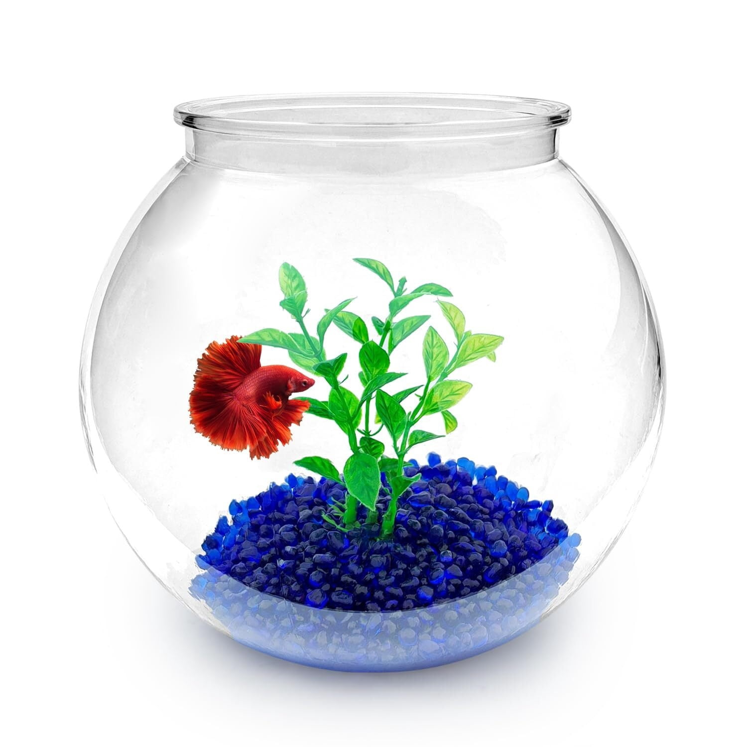 Mini Plastic Aquarium Starter Kits, Fish Tank (0.8Gallon/ 3L) - Walmart.com