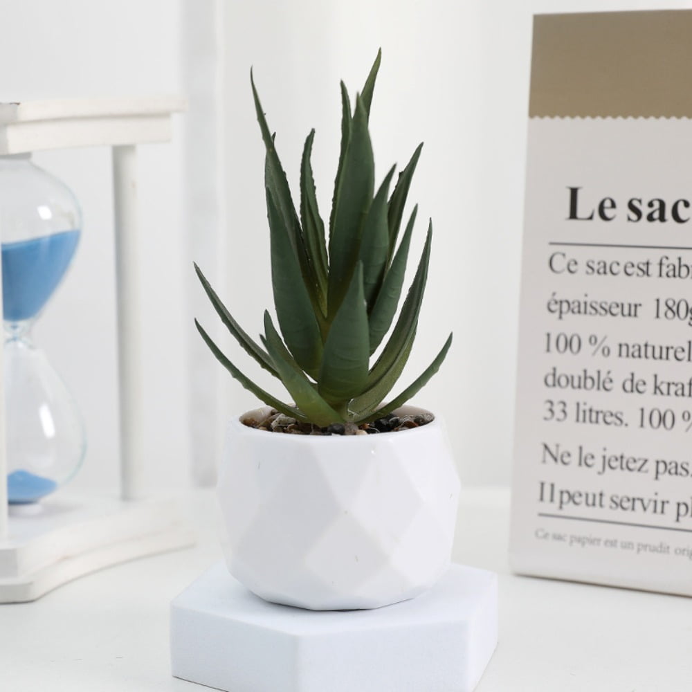 Mini Plastic Cactus Evergreen Bonsai Plants Succulents Bonsai Small ...