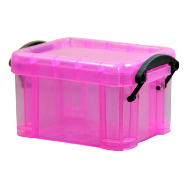 Mini Plastic Storage Box with Locking Lid Clear Plastic Organizer for ...