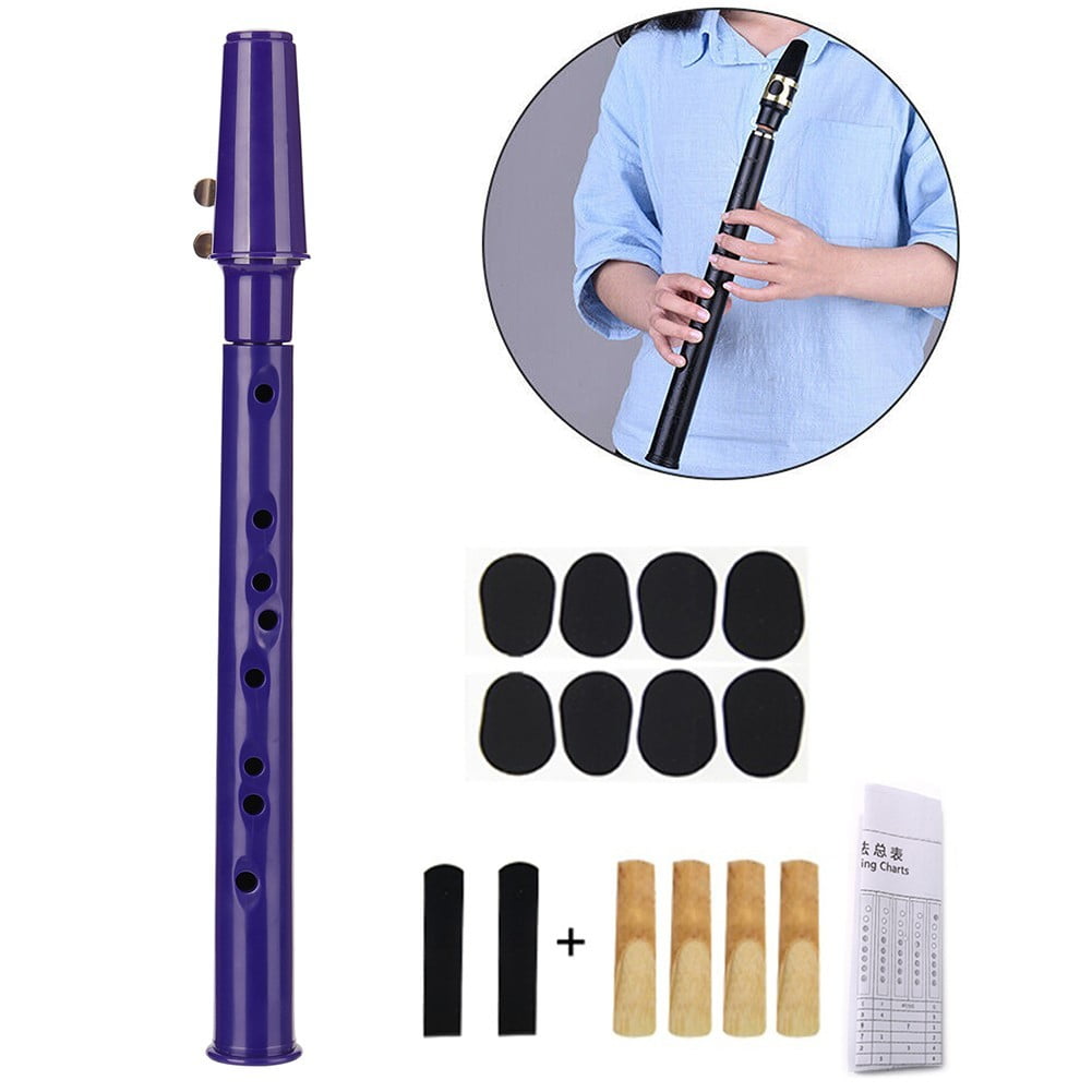 Mini Pocket Saxophone Little Sax Instrument Set with Reeds Pads Bag for ...