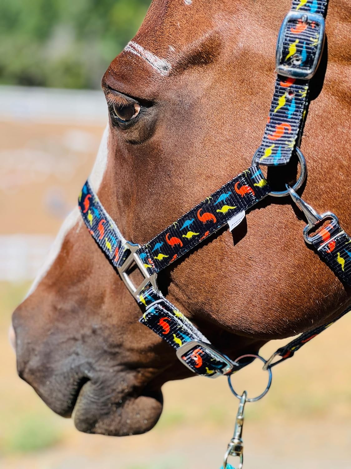 Mini-Pony Dinosaur Halter Nylon Horse Training Halter Stiff Cord ...