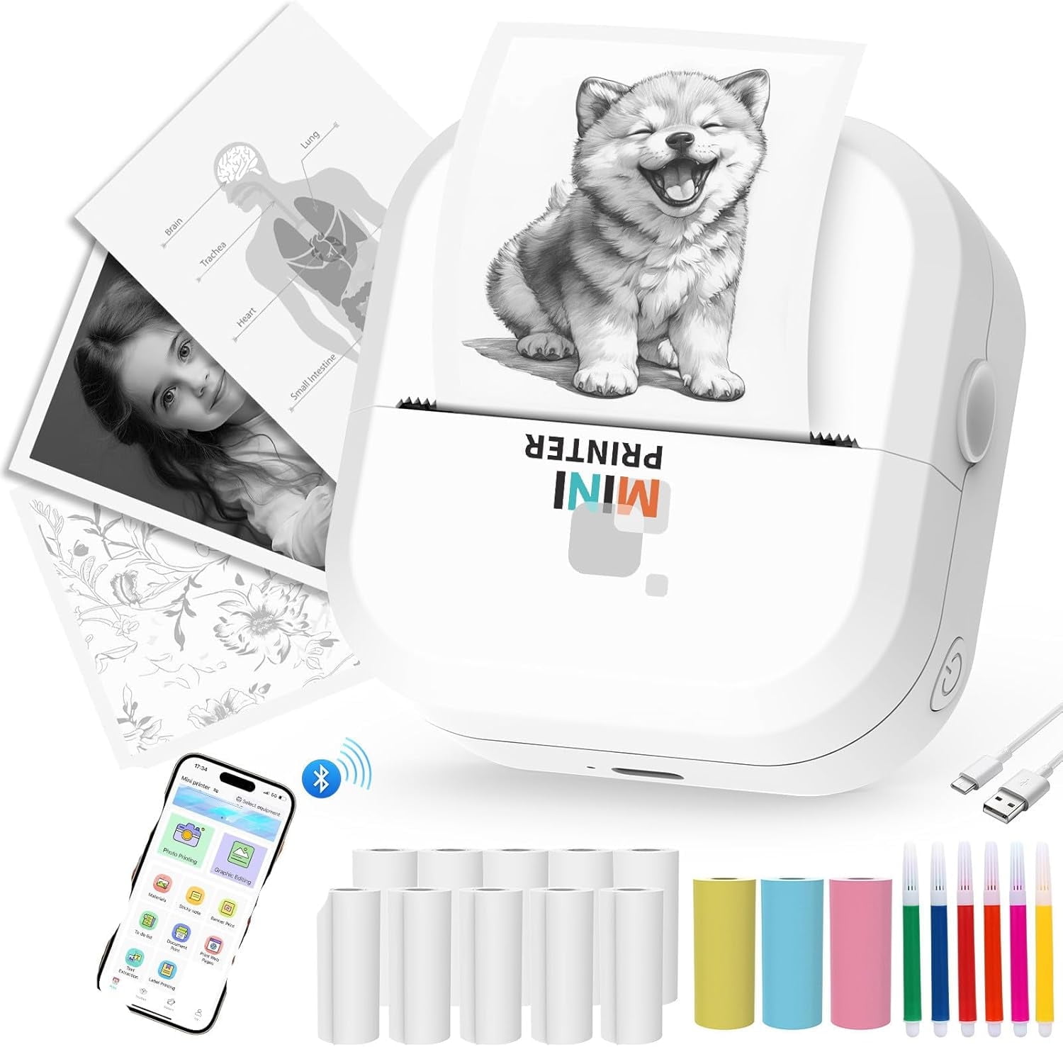 Banral Portable Inkless Bluetooth Pocket Printer, Mini Sticker Maker ...