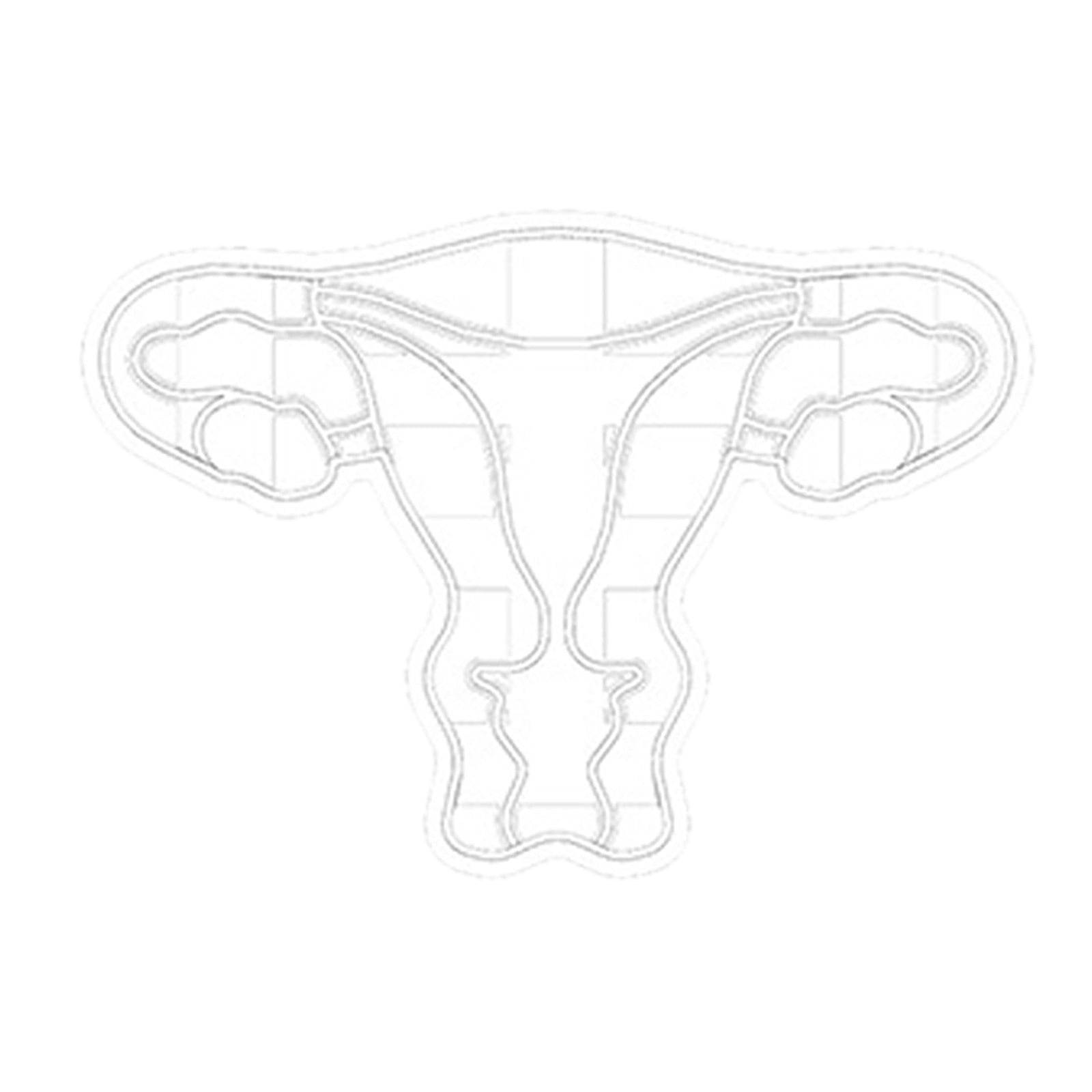 Mini Real Cooking Set Notes for School Lunch Metal Geometric Shapes ...