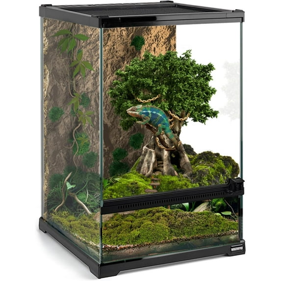 Mini Reptile Glass Terrarium Tank 8"x8"x12\u201C Full View with Front ...