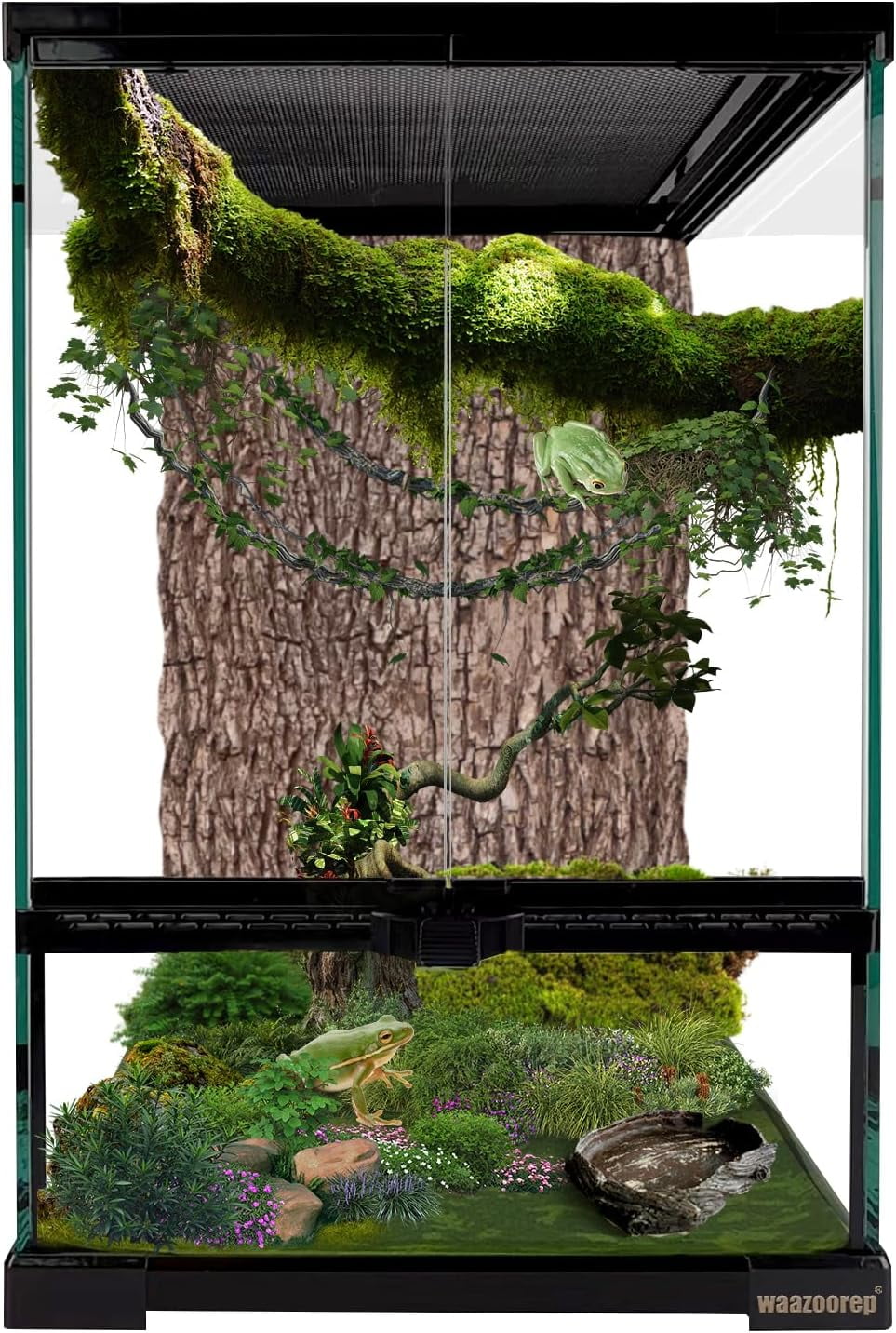 Mini Reptile Glass Terrarium Tank 8"x8"x12\u201C Full View with Front ...