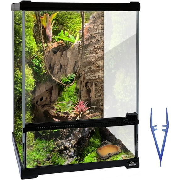 Mini Reptile Glass Terrarium Tank 8"x8"x12\u201C Full View with Front ...