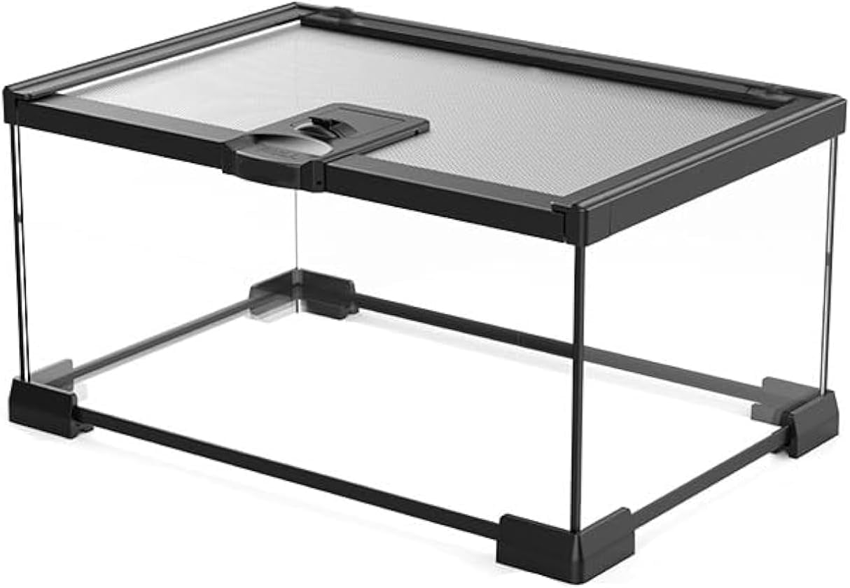 Mini Reptile Glass Terrarium Tank, cage for Tarantula Sling Geckos ...