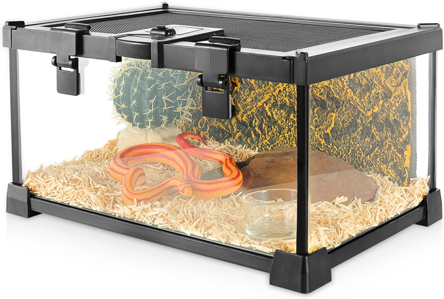 Mini Reptile Glass Terrarium Vivarium 12'' x 8'' x 6'' Full View Tank ...