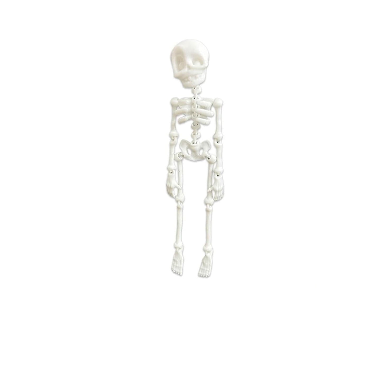Mini Skeleton Fridge Magnet - Skeleton Fridge Magnet, 3D Printed ...