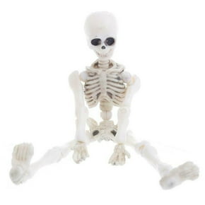 Skeleton Action Figures