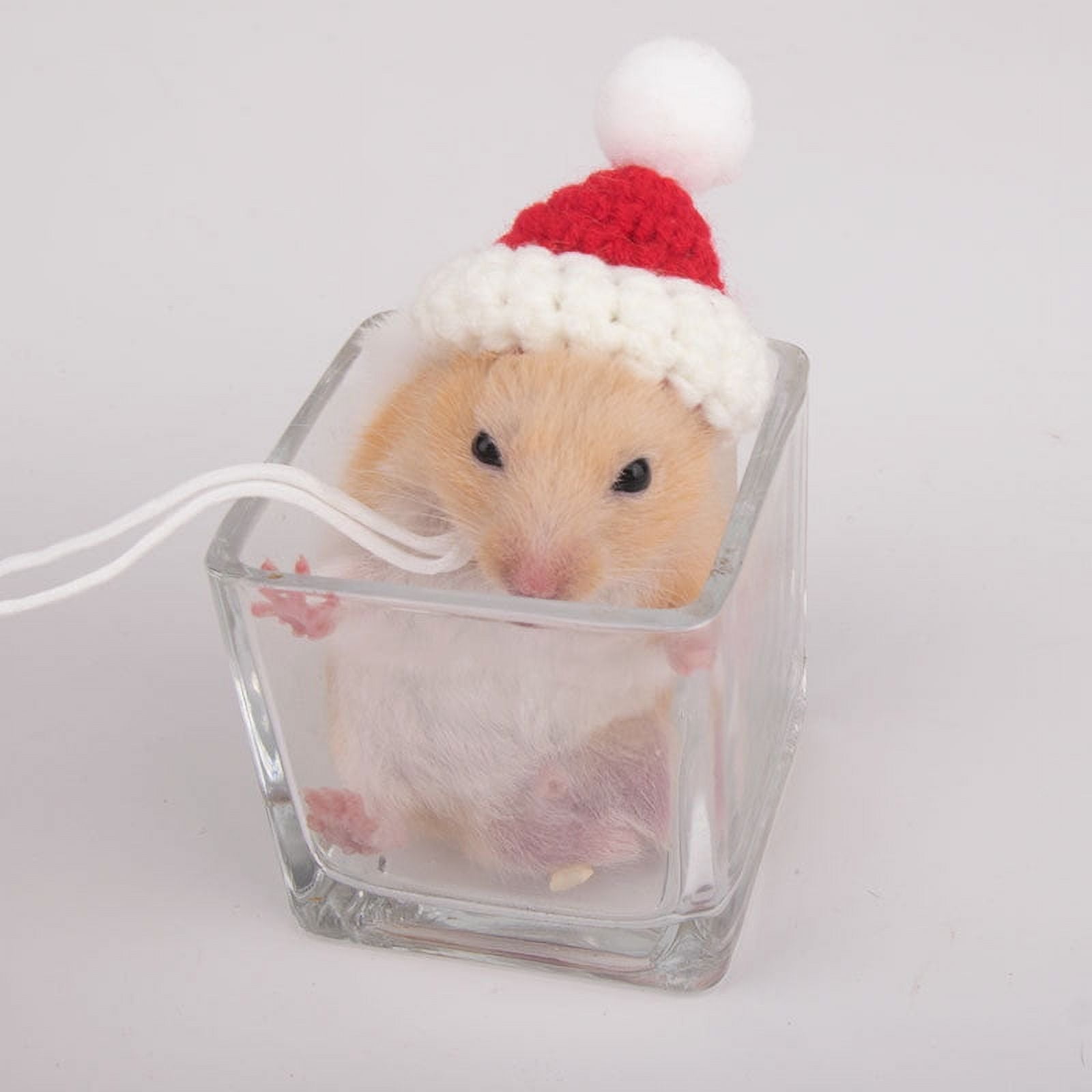 Mini Small Animals Hat with Adjustable Strap Lovely Hand Knitted Tiny ...