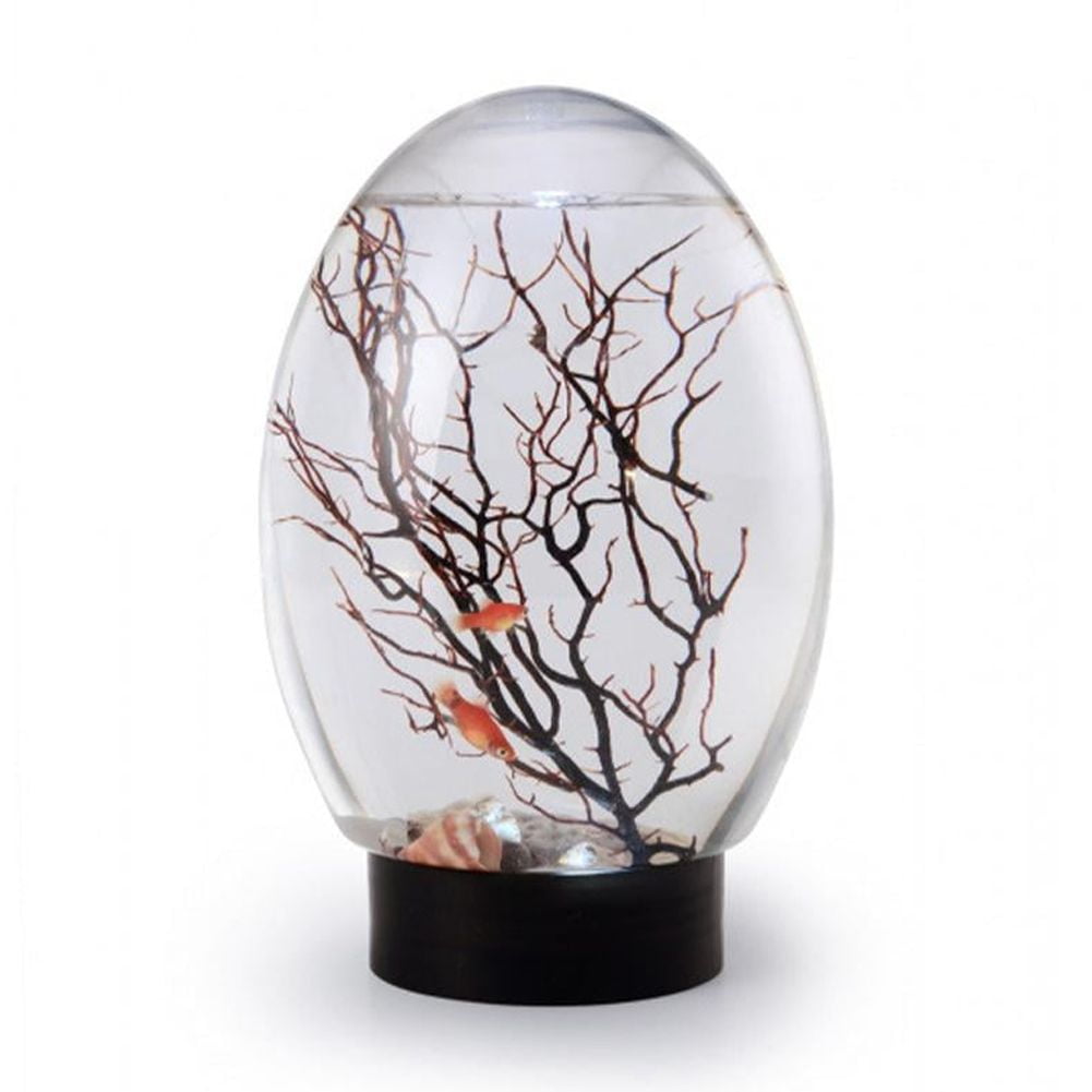 Mini Small Desktop Aquarium Glass Fish Tank Eco Aquarium Amphibious ...