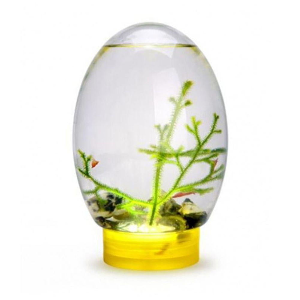 Mini Small Desktop Aquarium Glass Fish Tank Eco Aquarium Amphibious ...
