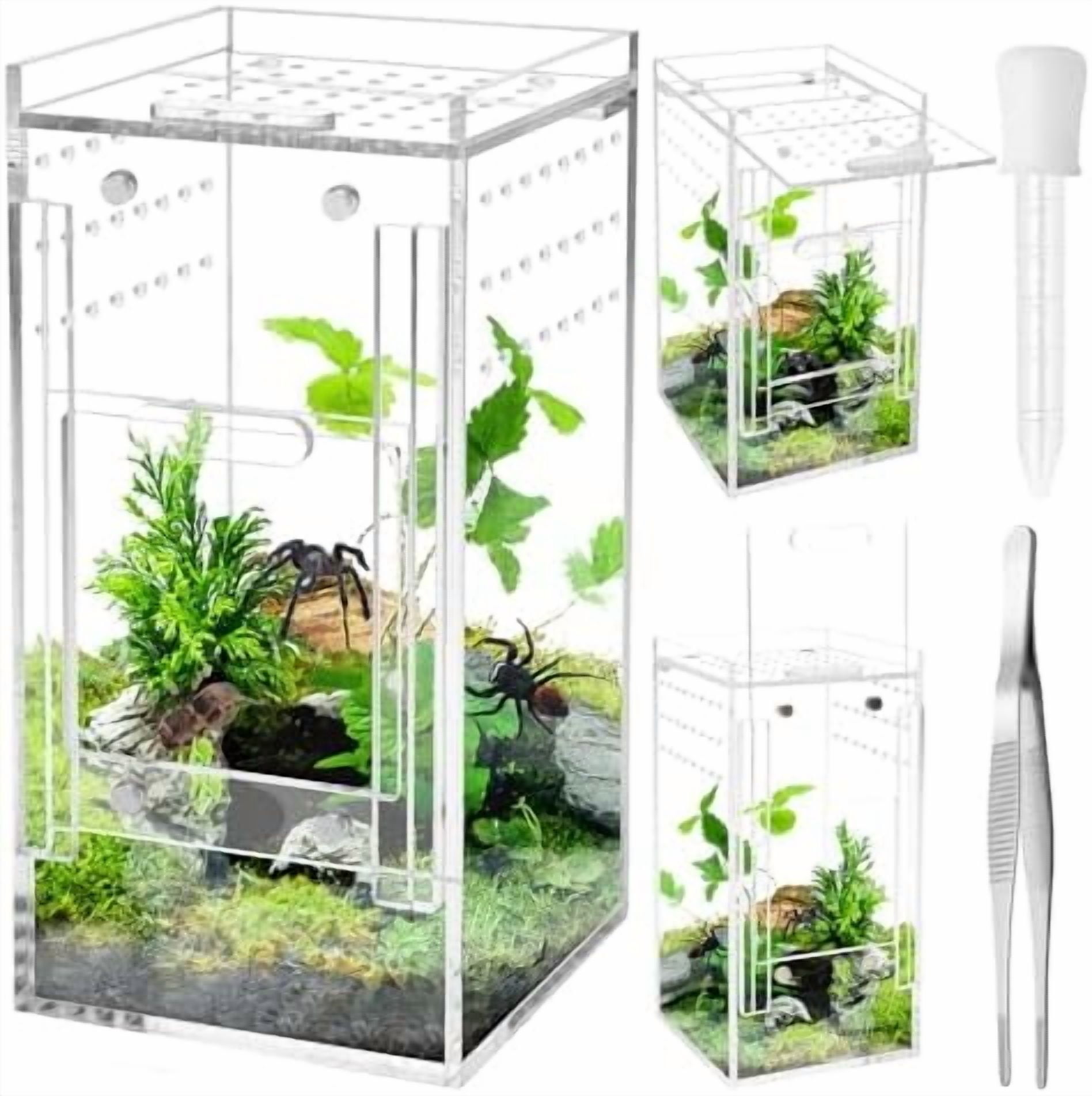 Mini Spider Enclosure, 3x3x6’’ Acrylic Terrarium with Ventilation ...