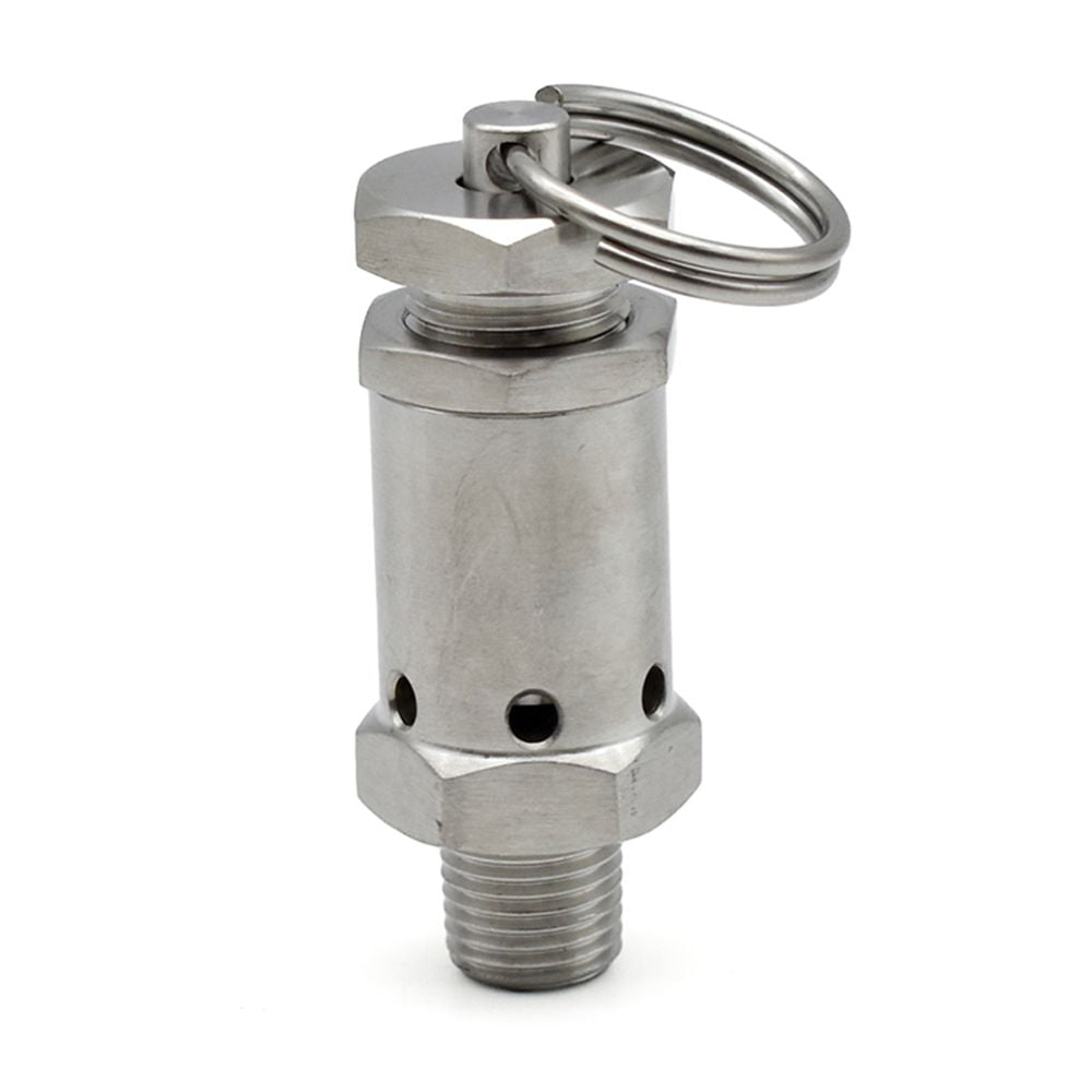 Mini Spring Sanitary Safety Valve for Air Compressors, 1/4 Stainless ...