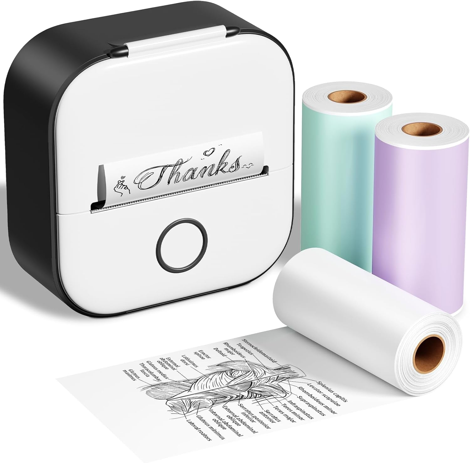 Mini Sticker Printer - T02 Maker, Print Pod Machine with 3-Roll Paper ...