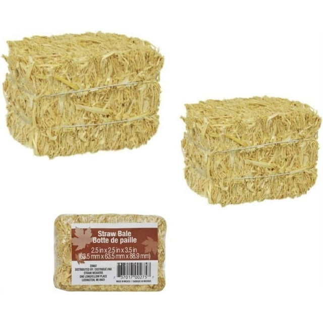 Mini Straw Bale Bundle of 3 Natural Hay for Autumn Fall Harvest, 2.5 in ...