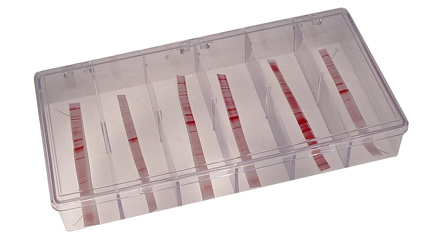 Mini-Strip Blotting Box, 6 Lanes, 10.0 x 3.0 x 2.5cm, Clear, 2 per ...