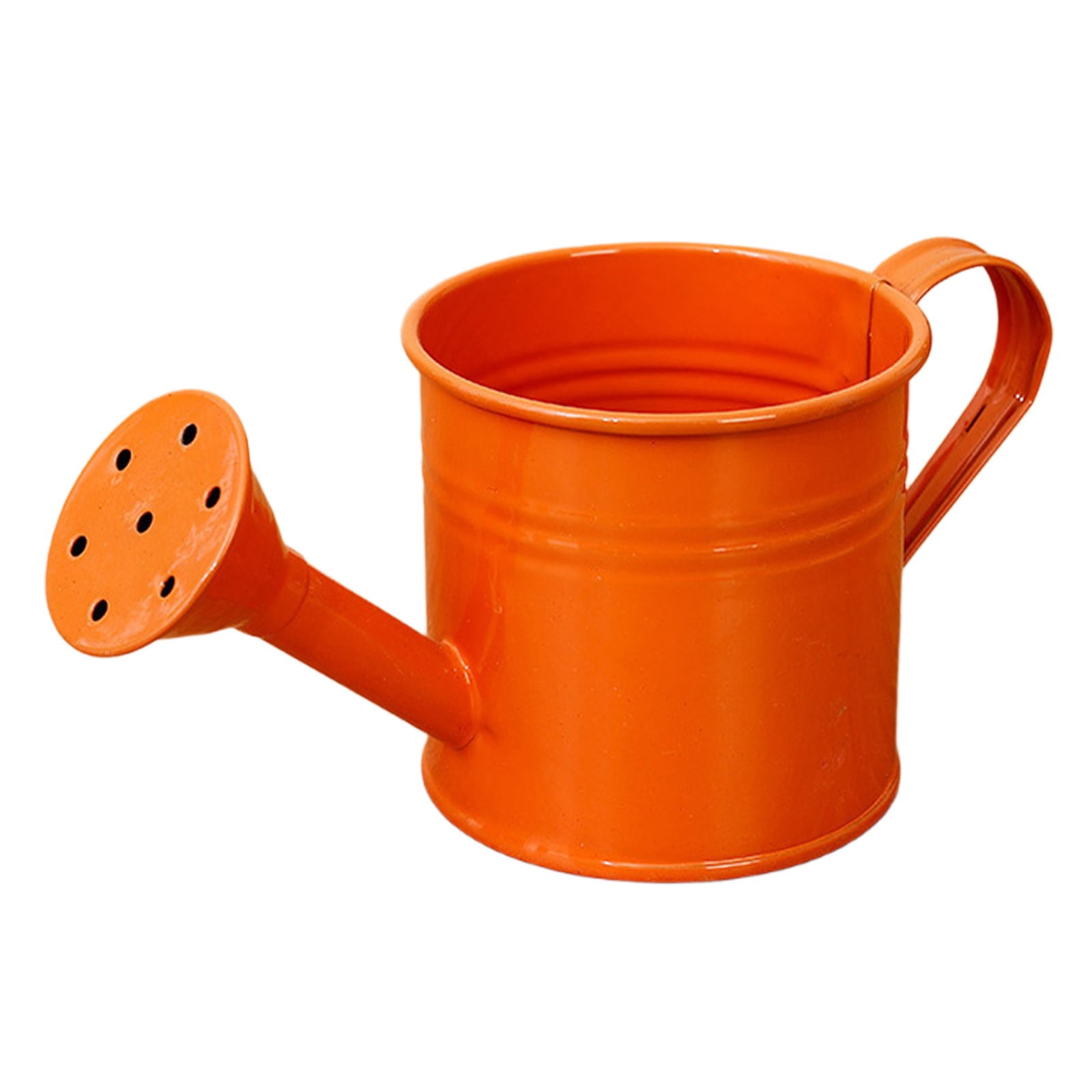 Mini Watering Can for Indoor Outdoor Plants, Metal Plant Water Pot with ...