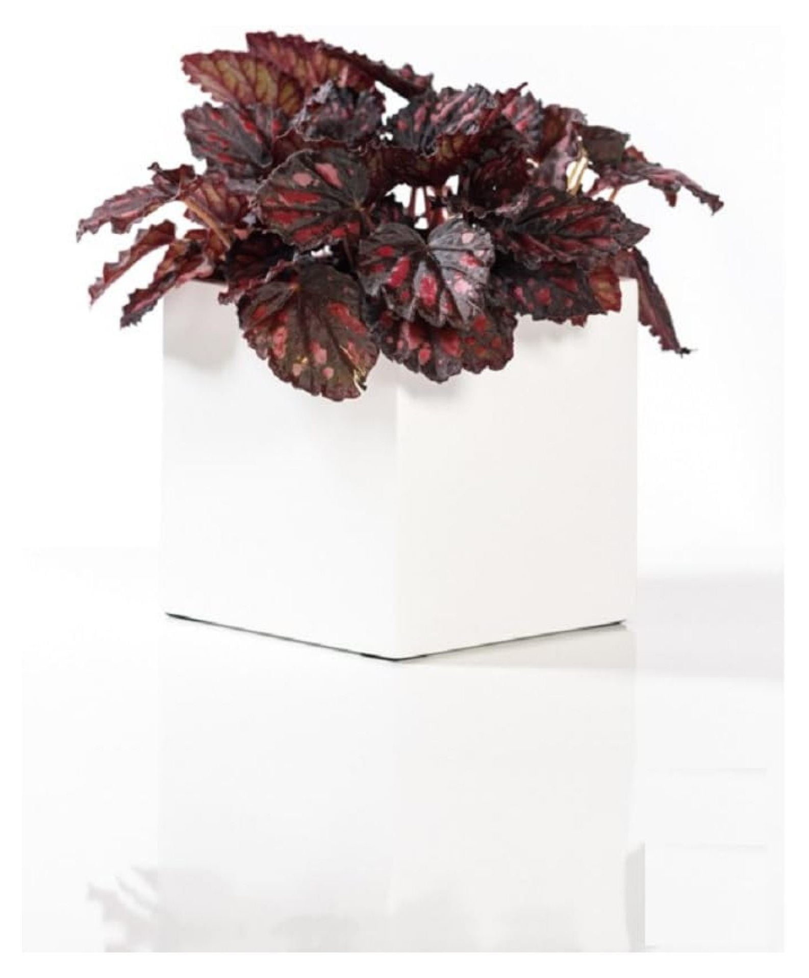 Mini White Square Planter Box Indoor & Outdoor | Cube Shaped Flower Pot ...