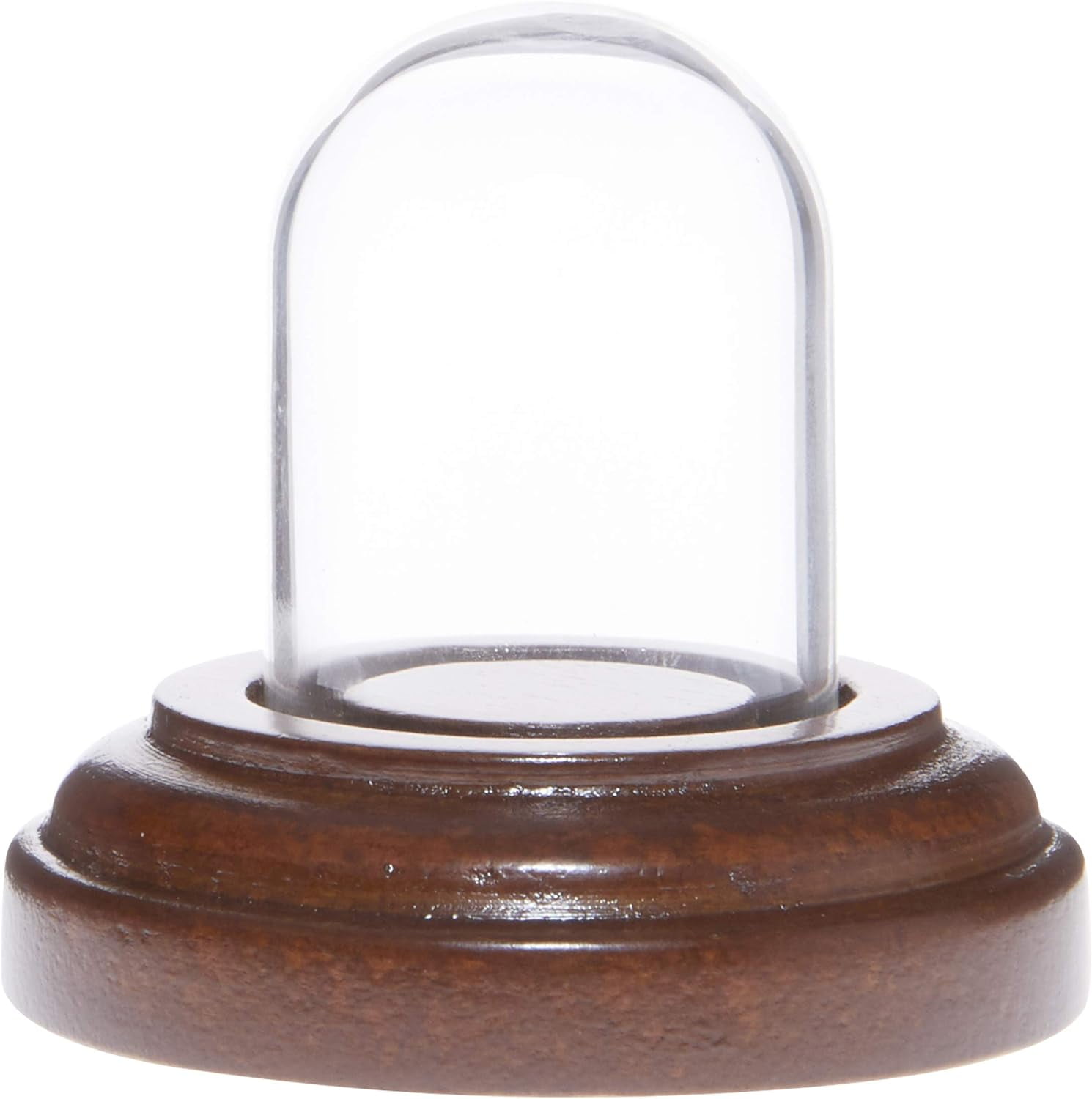 Miniature 1" X 1.5" Mini Glass Display Dome TINY Cloche (Walnut Base ...
