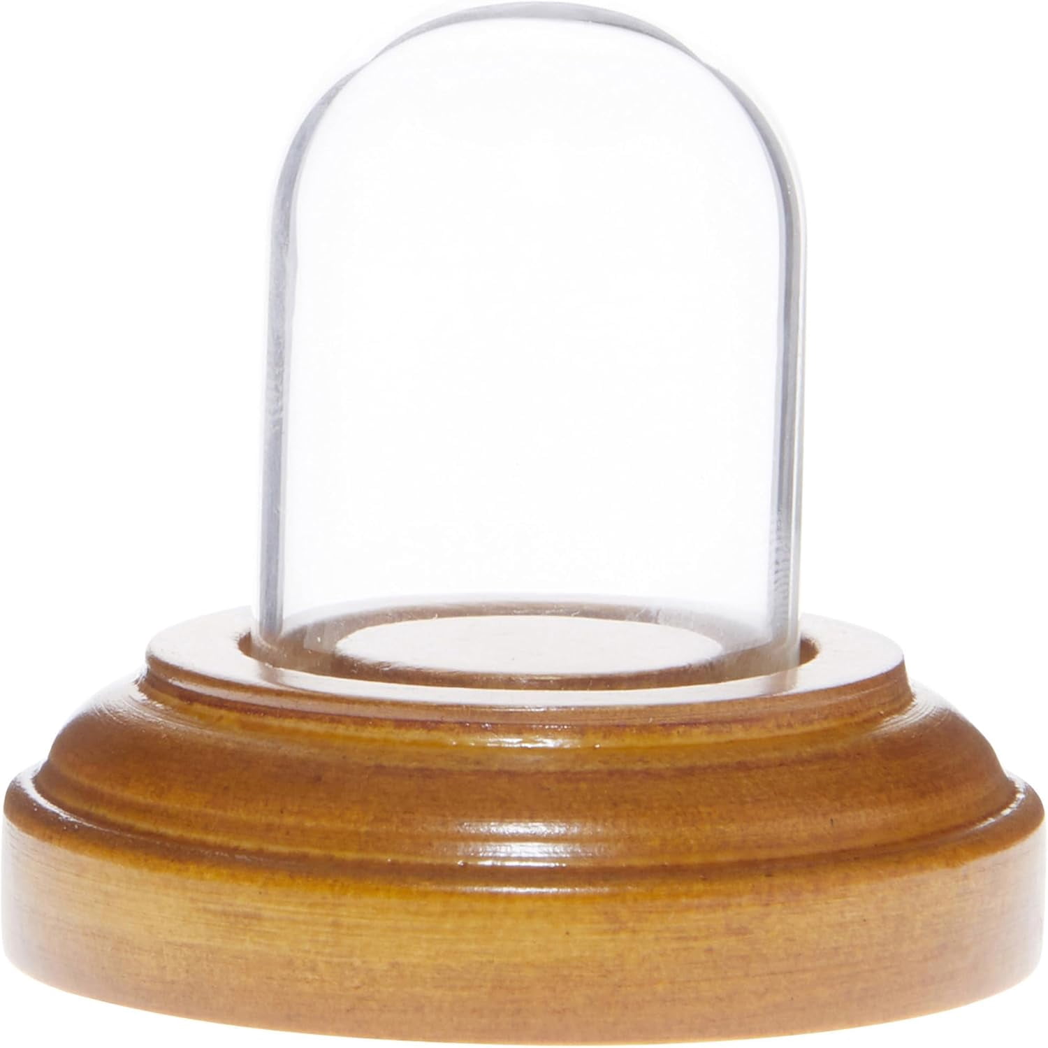 Miniature 1" x 1.5" Mini Glass Display Dome TINY Cloche (Oak Veneer ...