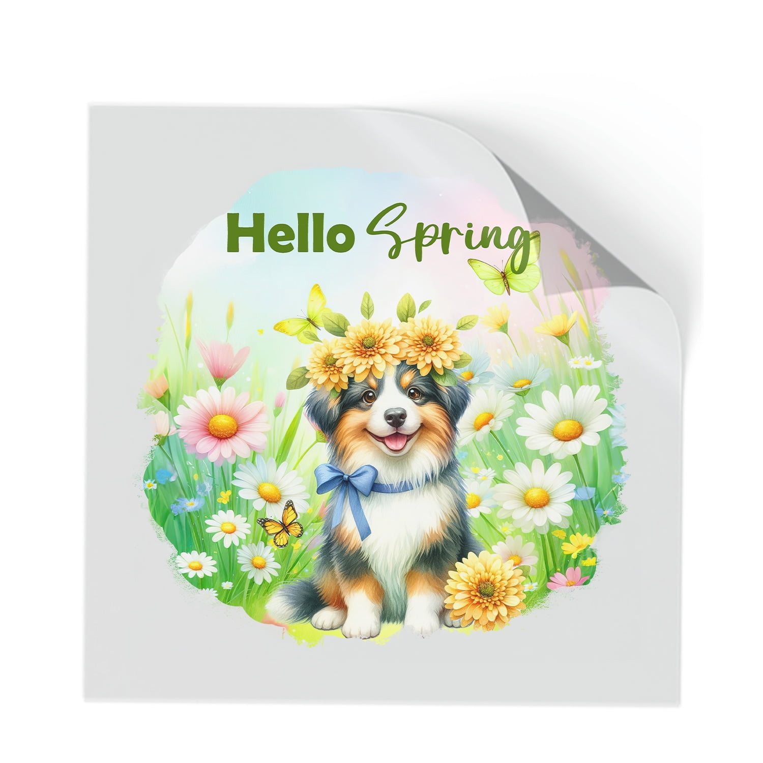 Miniature American Shepherd Hello Spring Time Flower Floral Nature ...