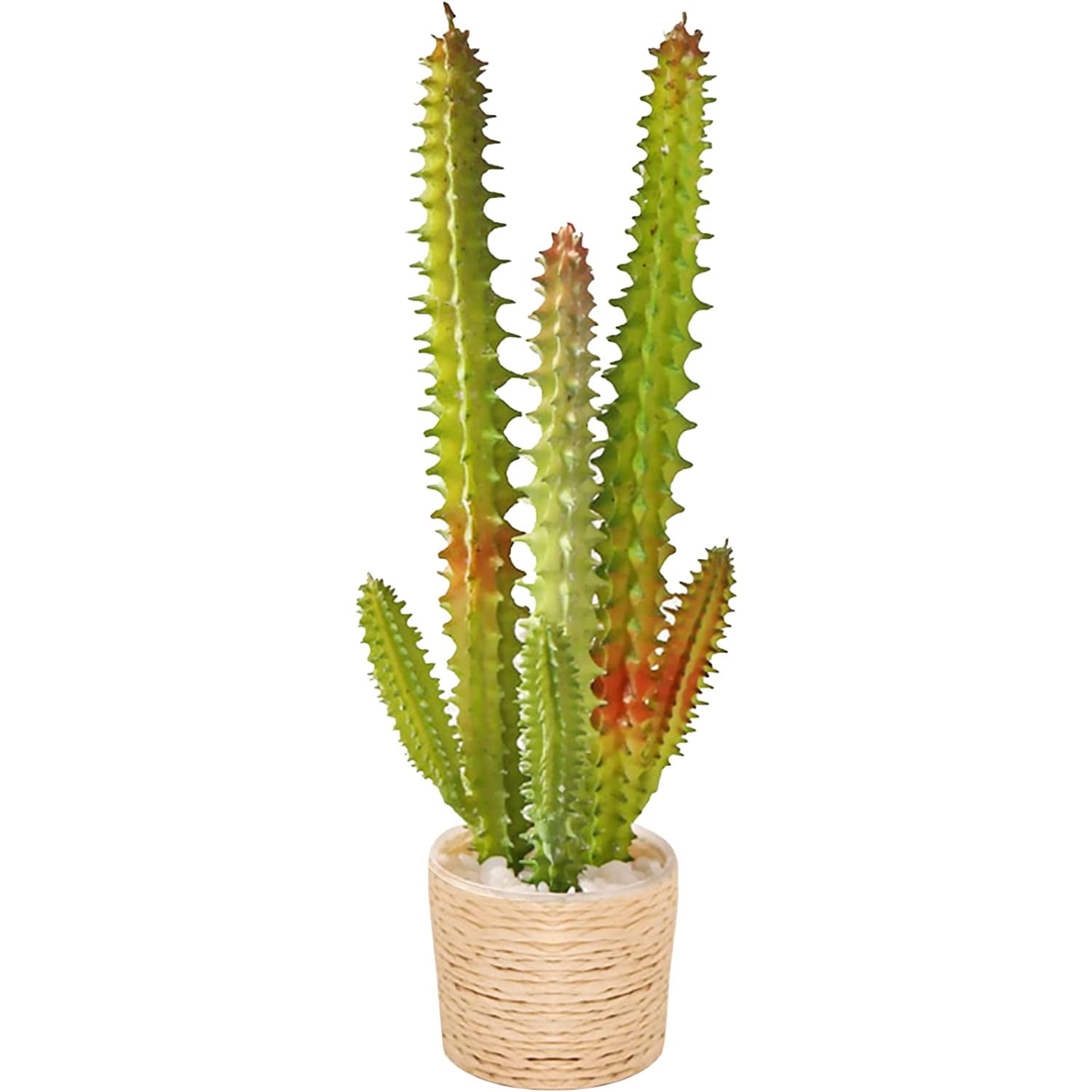 Miniature Cactus 1/6 Scale Potted Plant Fake Mini Cactus Plant Bonsai ...