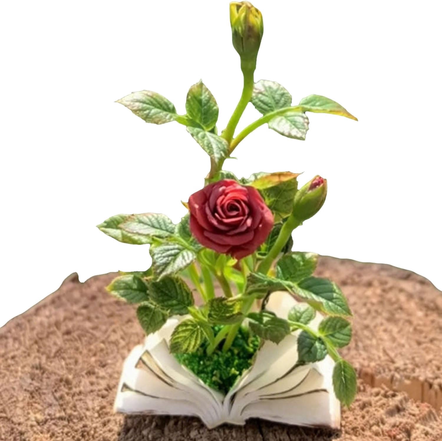 Miniature Clay Flower Collectible, Realistic Micro Rose & Lotus ...