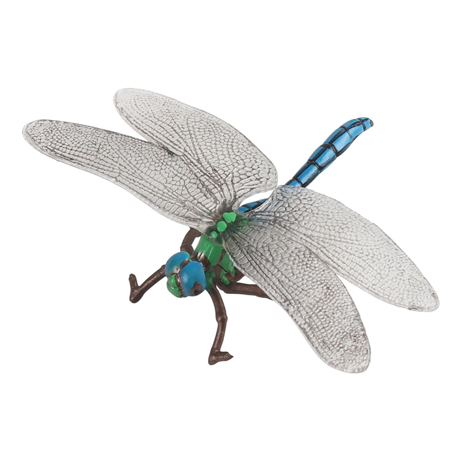 Miniature Dragonfly Figurines Home Decor Teaching Aids Party Favors ...