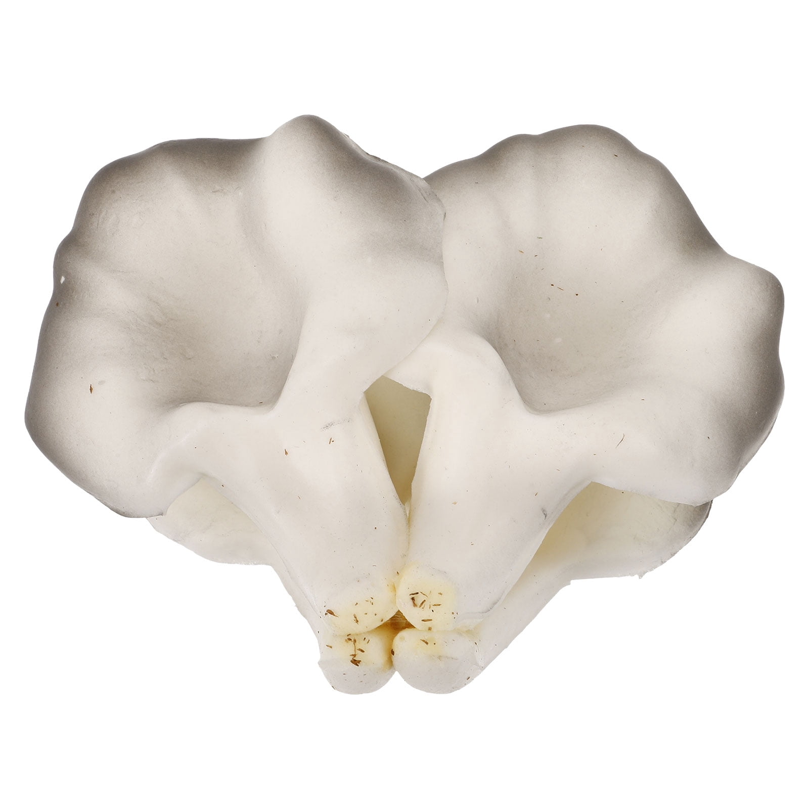 Mushroom Model Mushroom Soup Imitation Plants 14.00X11.00X6.00CM ...