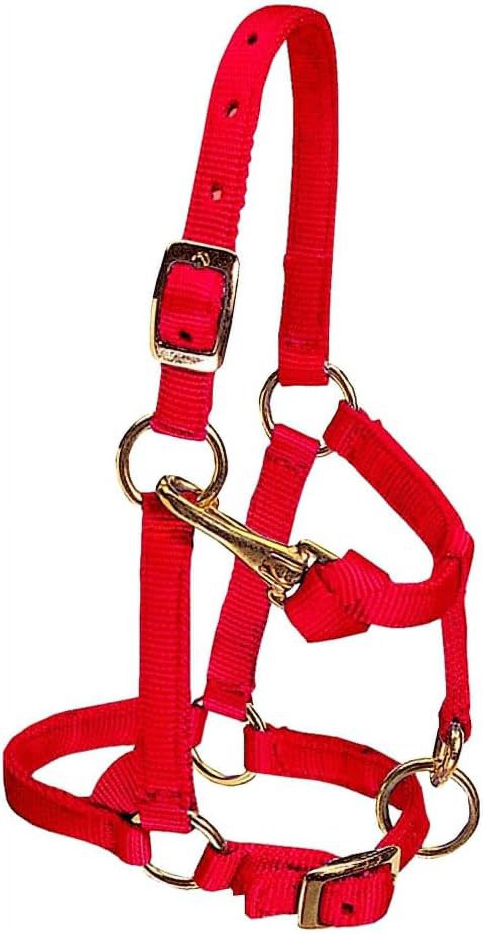 Miniature Horse Adjustable and Throat Snap Halter, 5/8" Average ...