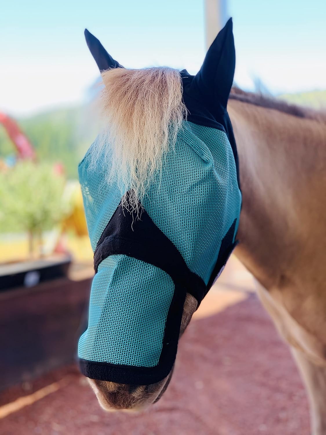 Miniature Horse-Pony Ear Nose Cover UV Fly Mask 90% UV Protection ...