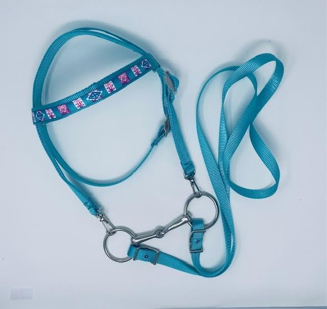 Miniature Horse/SM Pony Turquoise Bridle with Native Overlay - Free BIT ...