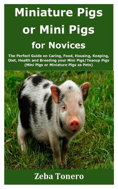 Mini Teacup Pigs Full Grown