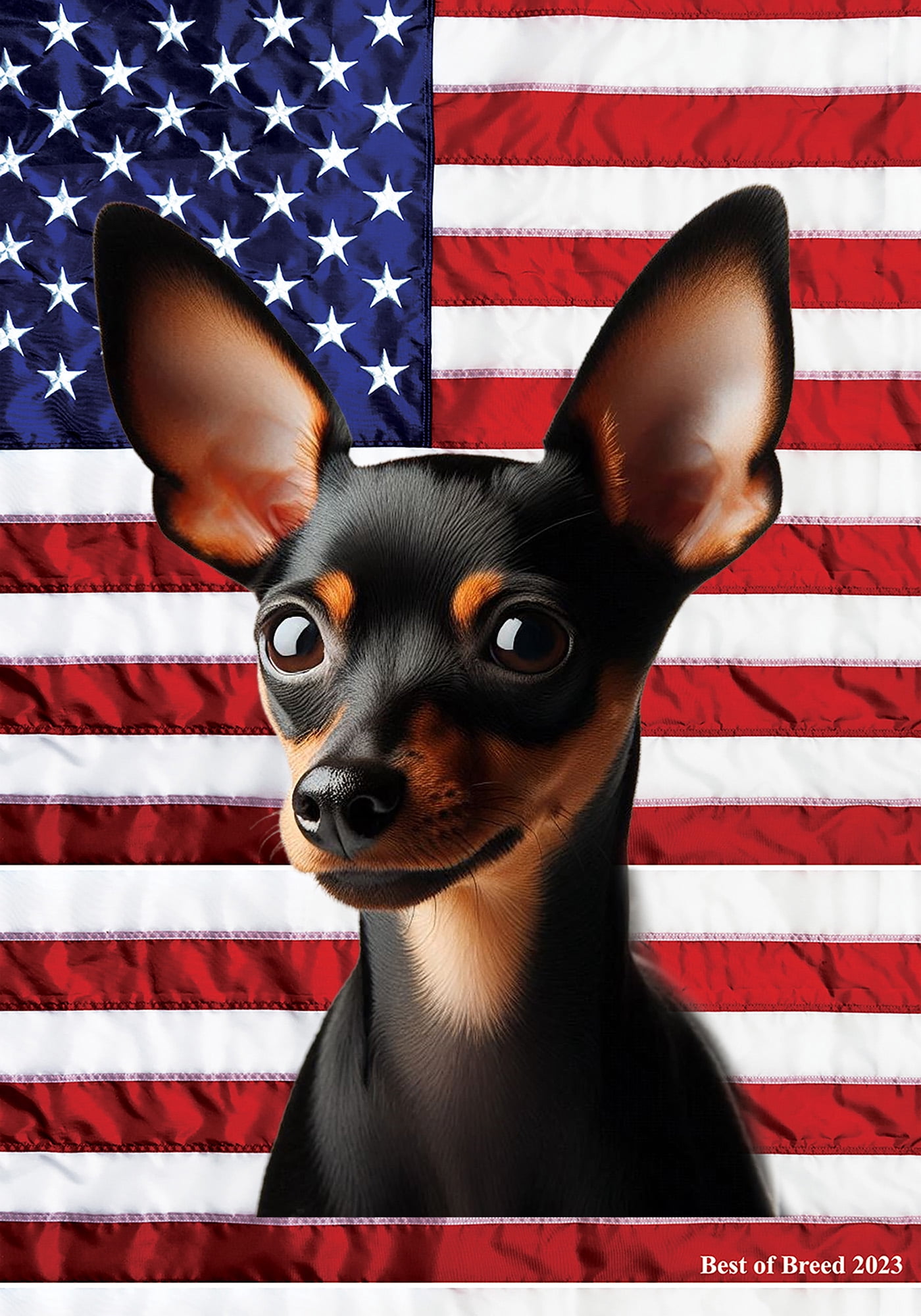 Miniature Pincsher Black/Tan Cropped - Best of Breed All-American ...