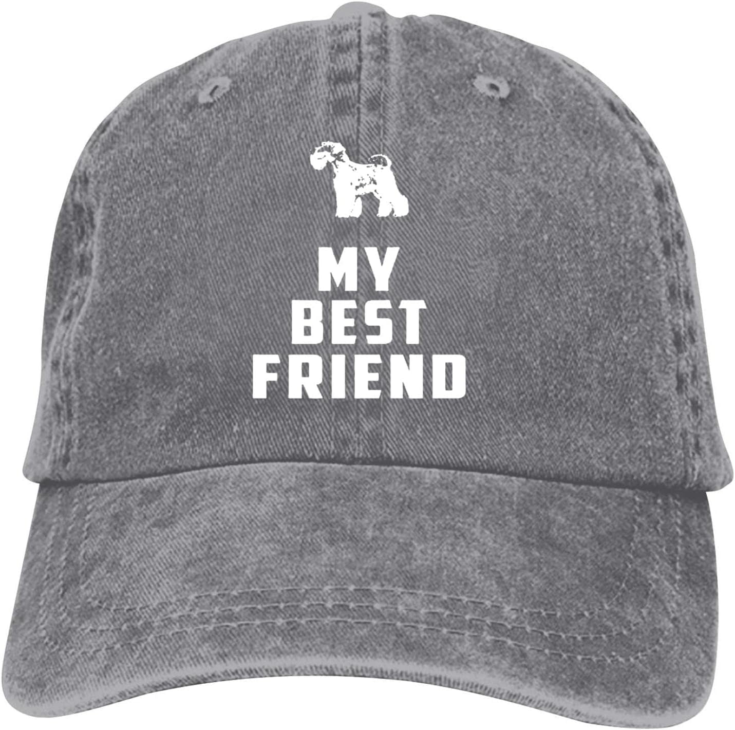 Miniature Schnauzer My Best Friend Baseball Cap Vintage Adjustable ...