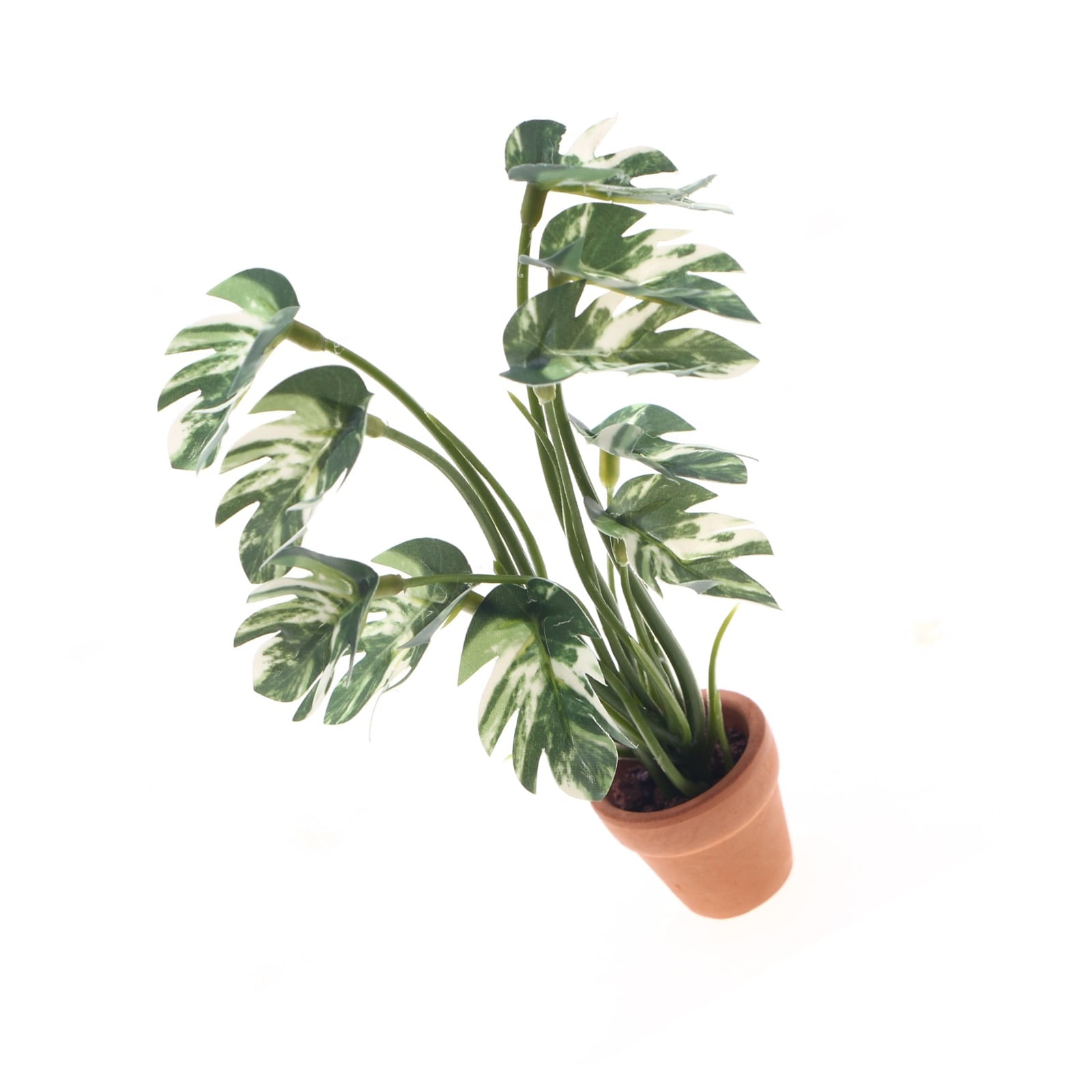 Miniature White Variegated Monstera Plastic Decoration For Dollhouses ...