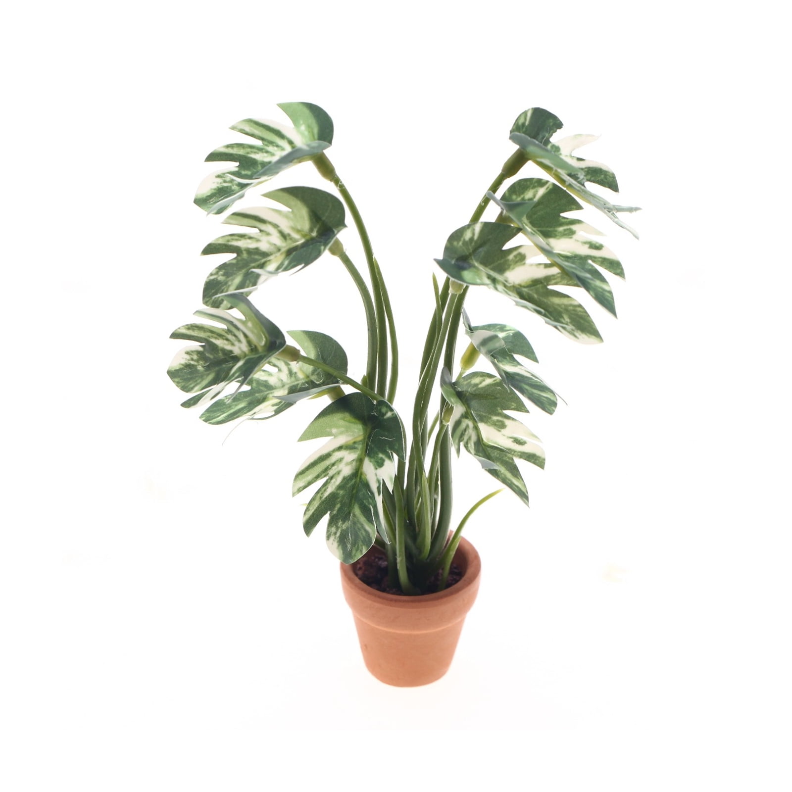Miniature White Variegated Monstera Plastic Decoration For Dollhouses ...