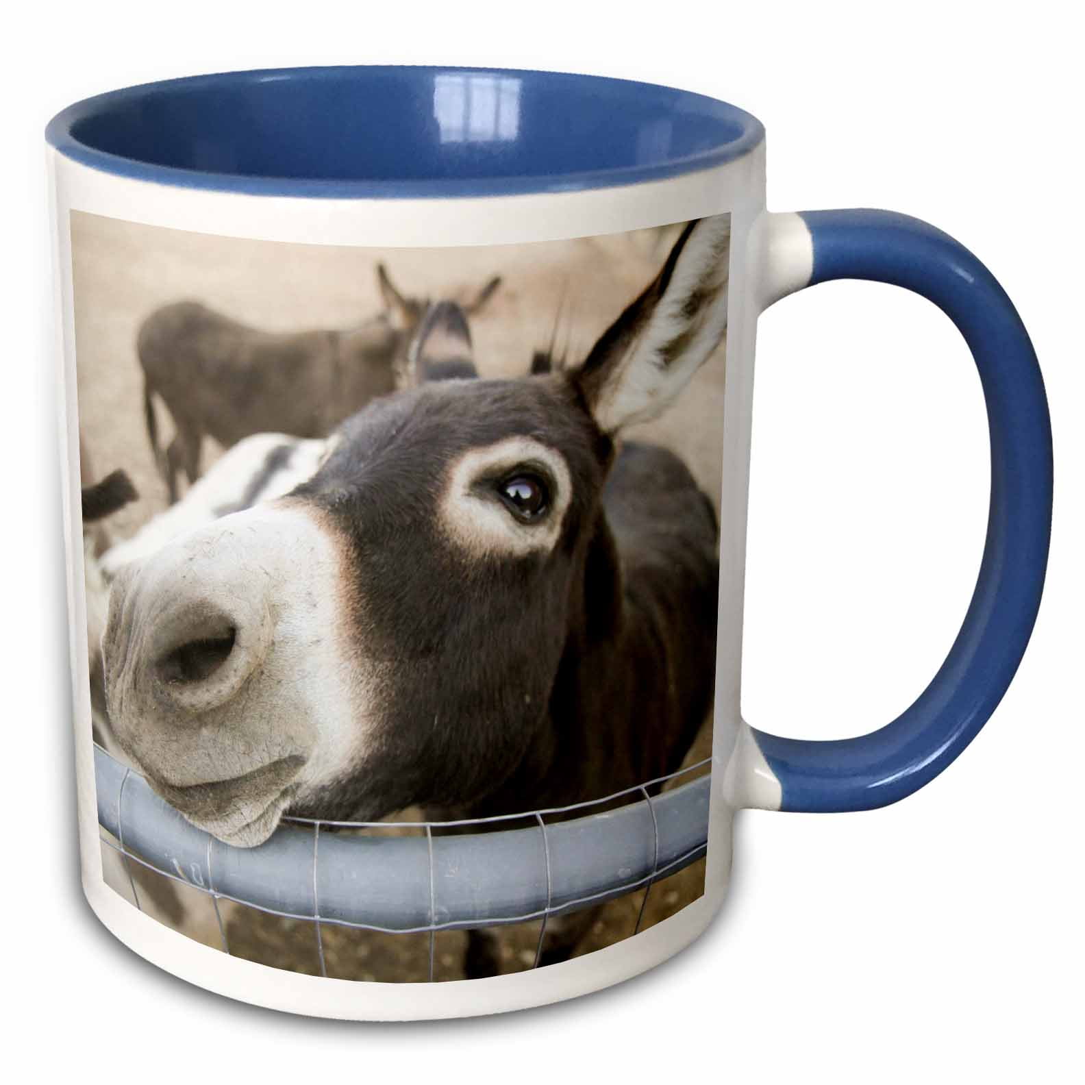 Miniature donkeys on a ranch in Northern California, USA 15oz Two-Tone ...