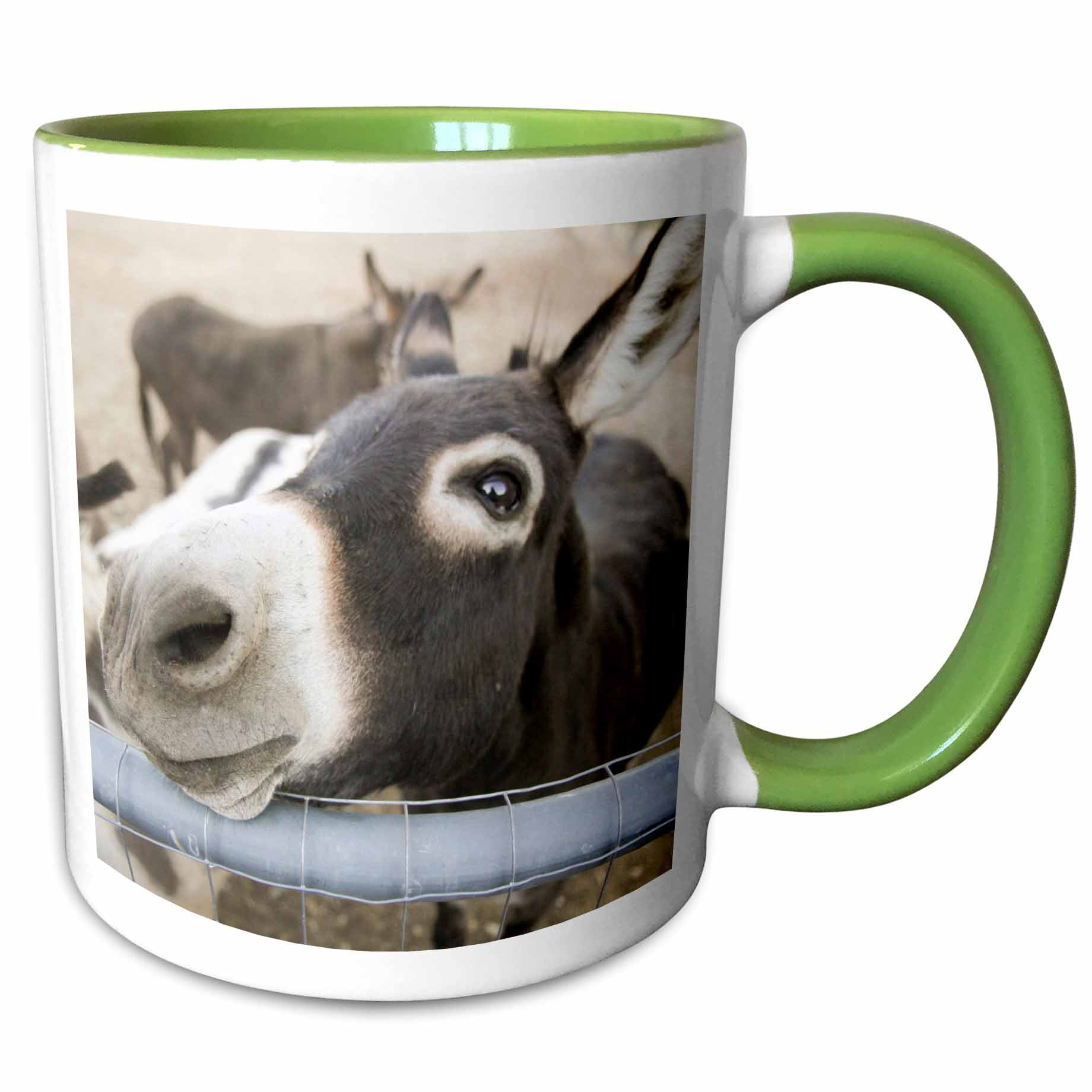 Miniature donkeys on a ranch in Northern California, USA 15oz Two-Tone ...