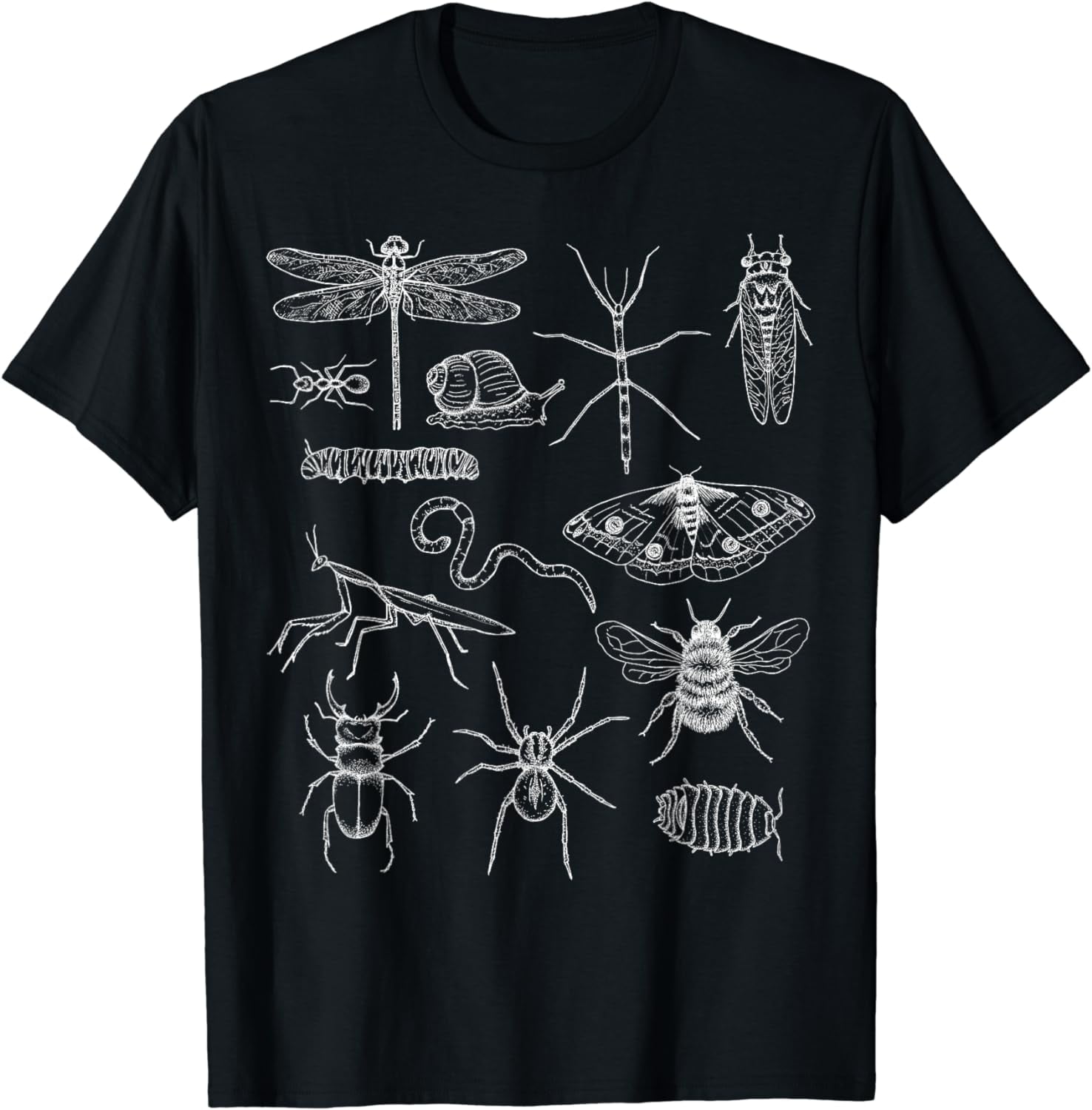 Minibeasts - Insects and Invertebrates Drawings T-Shirt - Walmart.com
