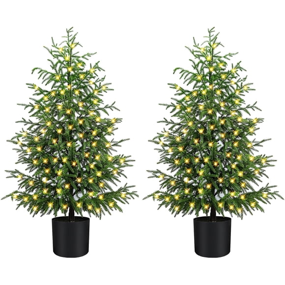 2 Foot Christmas Trees