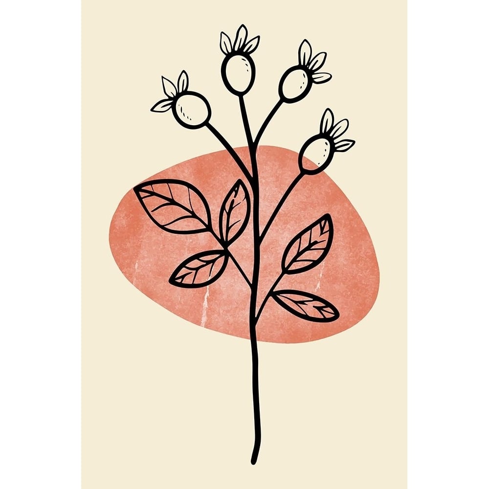 Minimal Flower Expression 1 Poster Print - Jay Stanley - Walmart.com