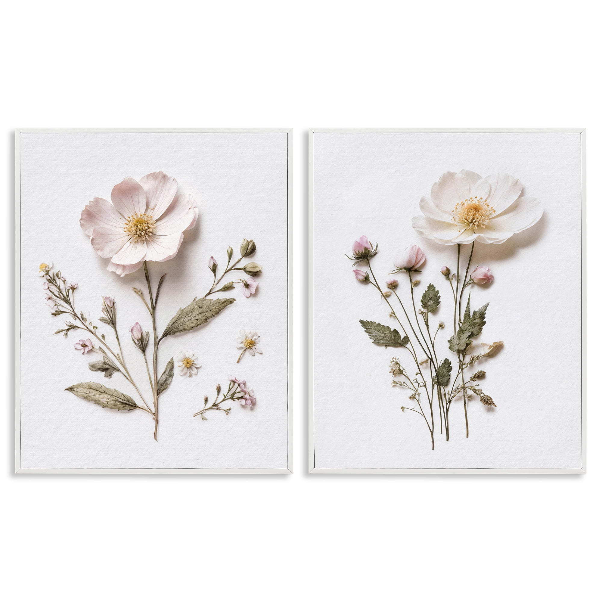 Minimal Pressed Flowers 2 Piece White Framed Giclee Art Set, design by ...