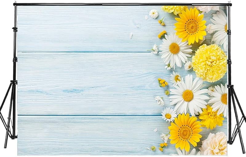 Minimalism Photography Backdrops Spring Theme Yellow White Daisy ...