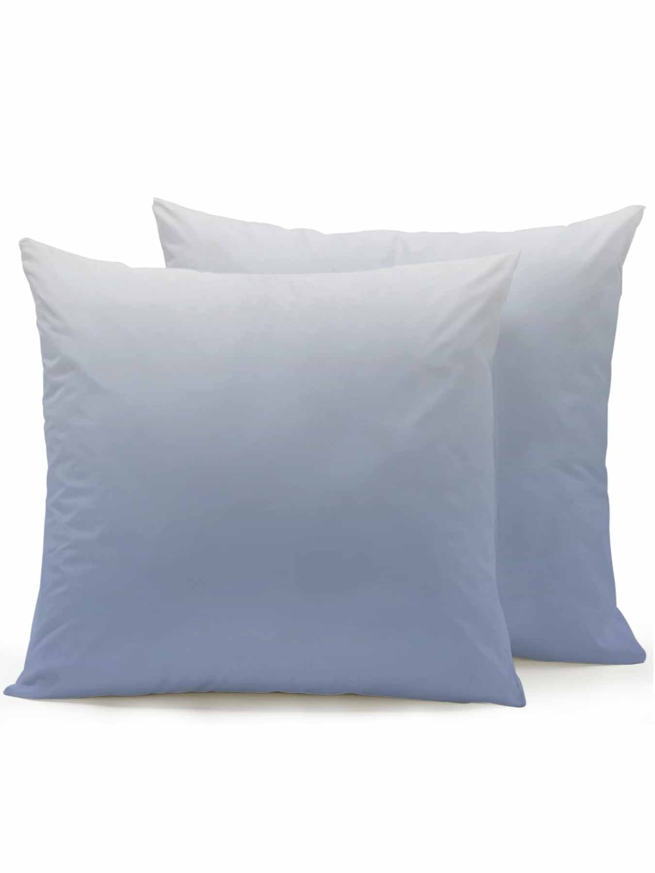 Minimalist Blue Outdoor Throw Pillows with Inserts Set of 2, 18