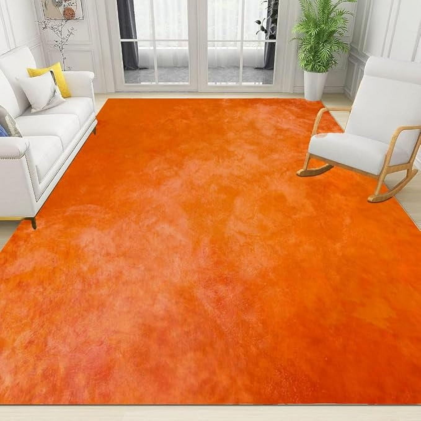 Minimalist Style Orange Area Rug, Modern Home Decor Rug, Washable Rugs ...