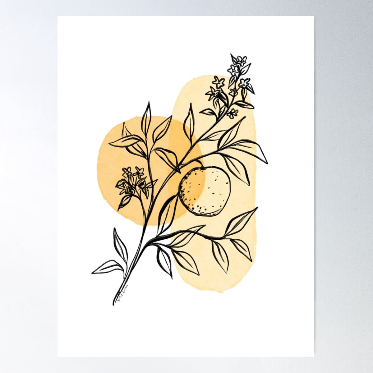 Minimalist Sweet Oranges - Simple Botanical Drawing With Orange Shapes ...
