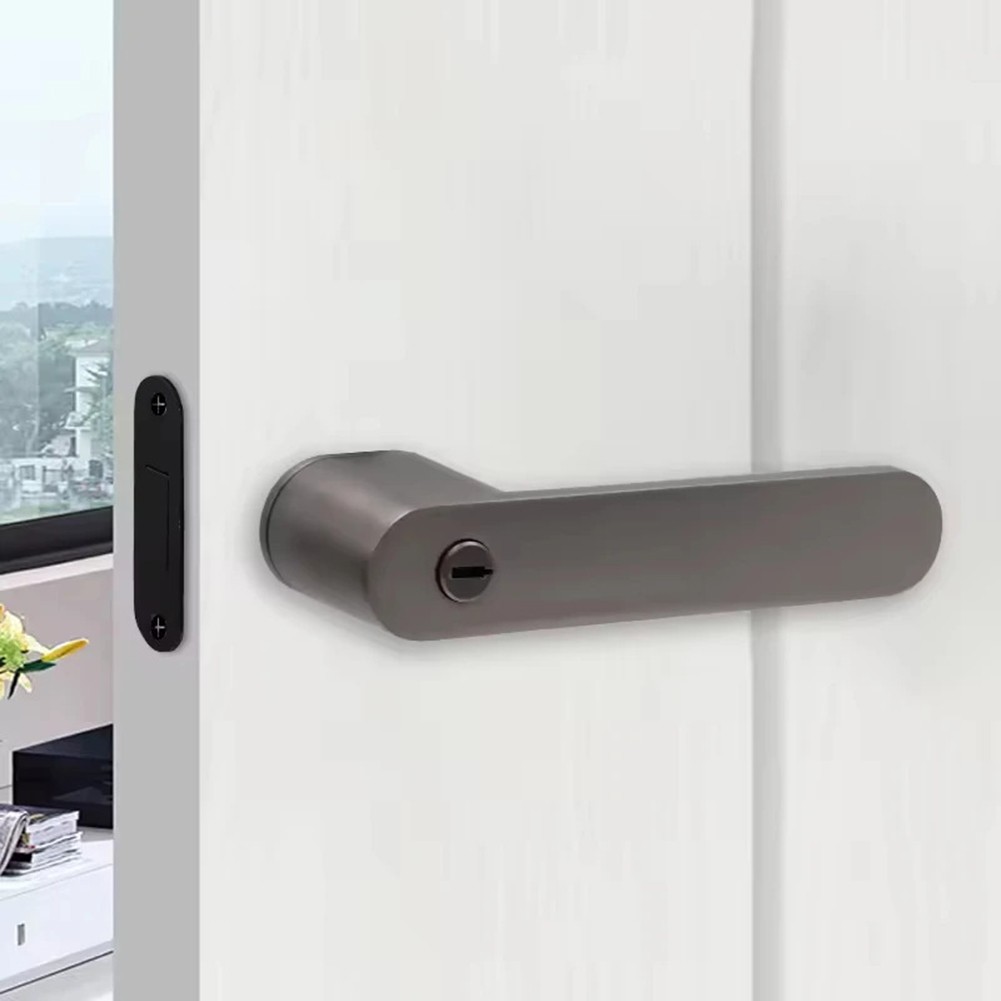 Minimalist door lock with key room door lock black gray modern magnetic ...